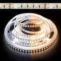 Dynamic White 3014 144W LED Strip Light
